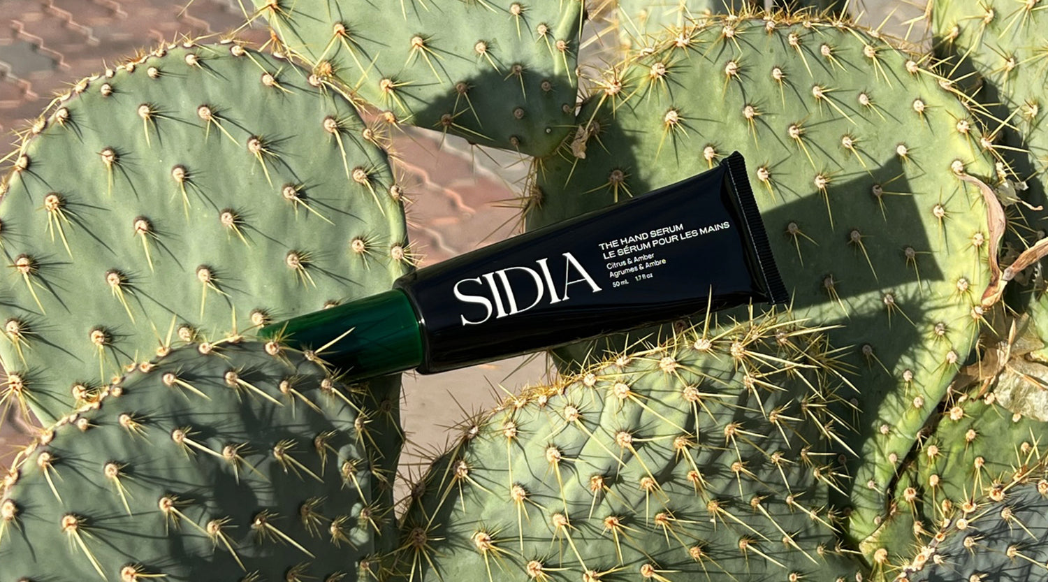 SIDIA official website | SIDIA THE BRAND