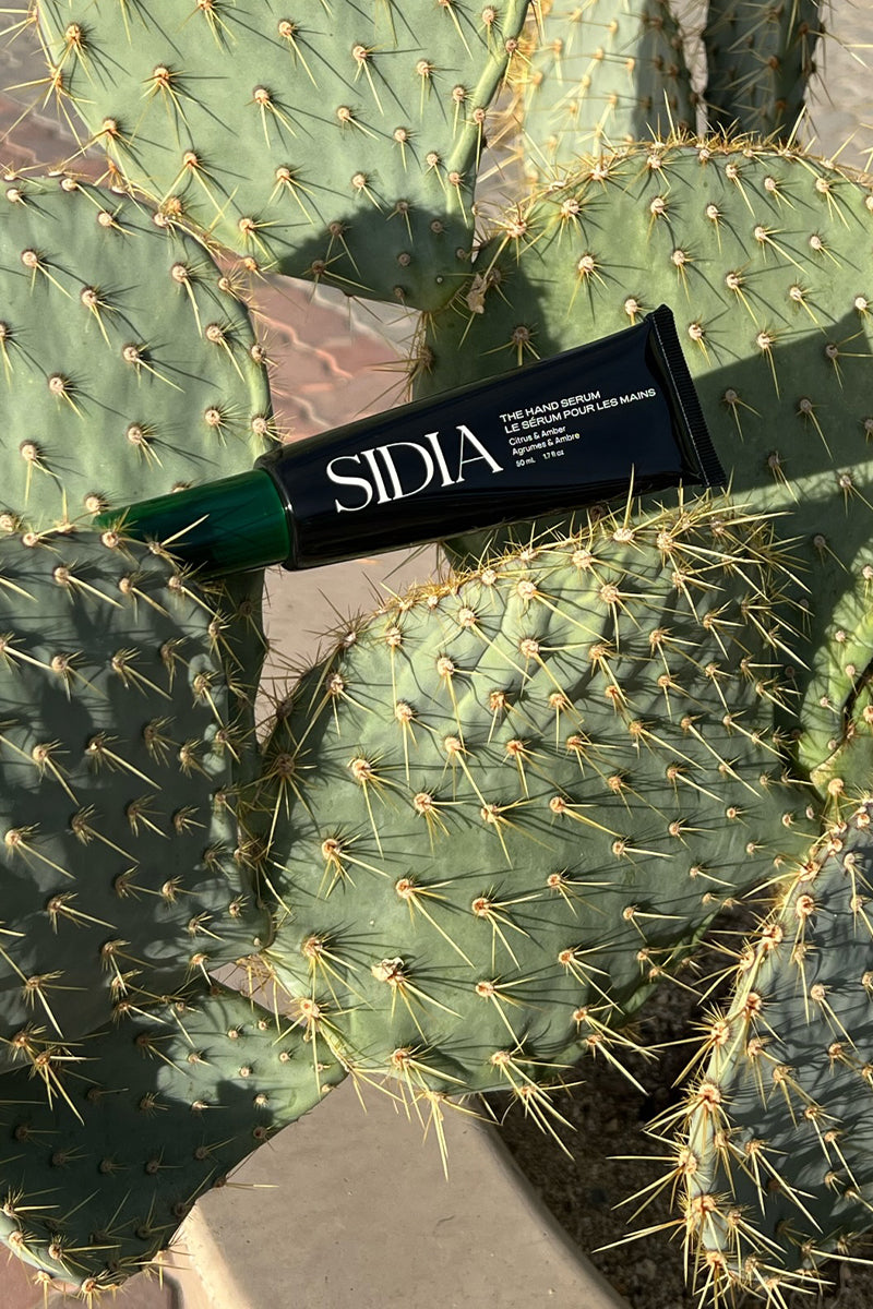 SIDIA official website | SIDIA THE BRAND