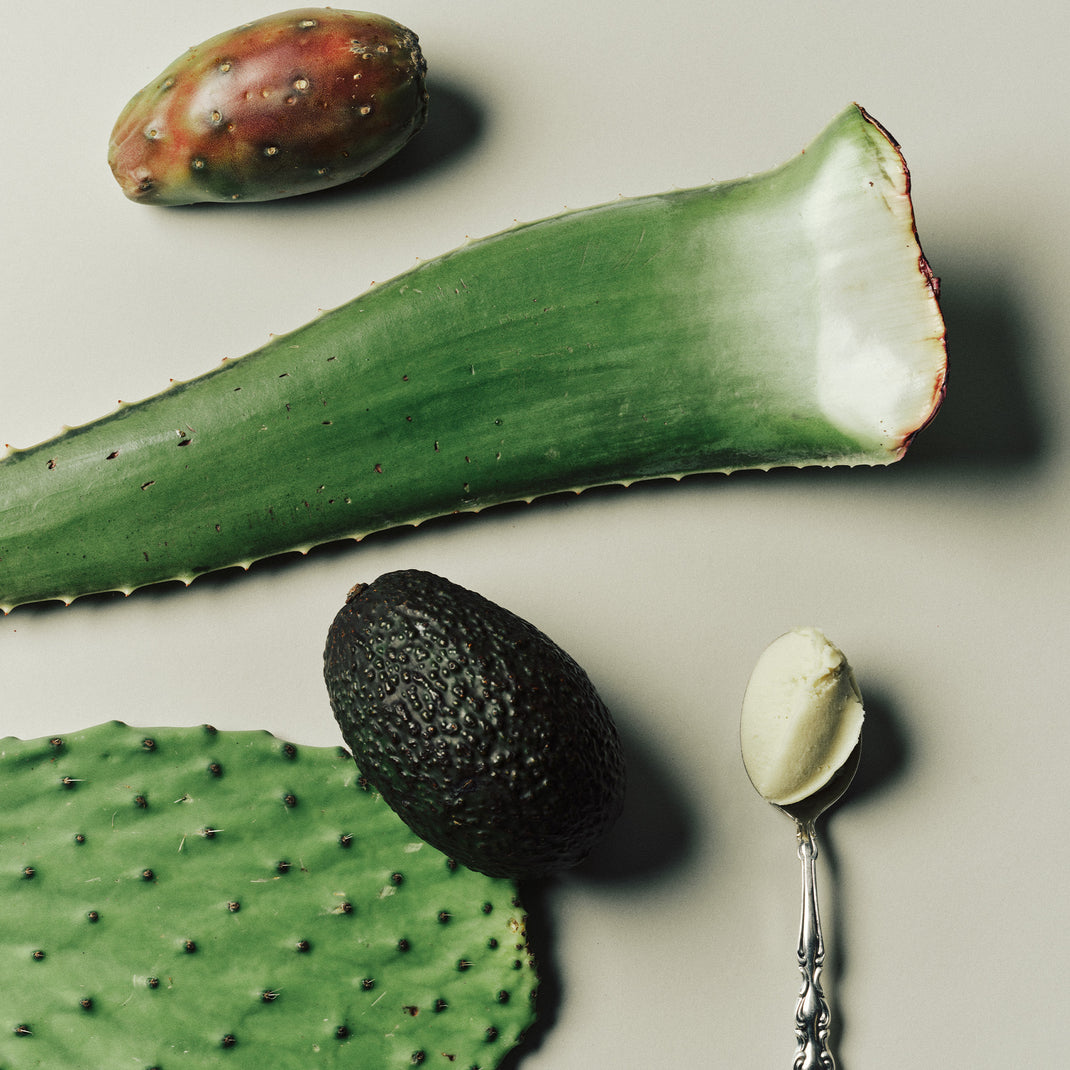 SIDIA official website | SIDIA THE BRAND – SIDIA Inc.